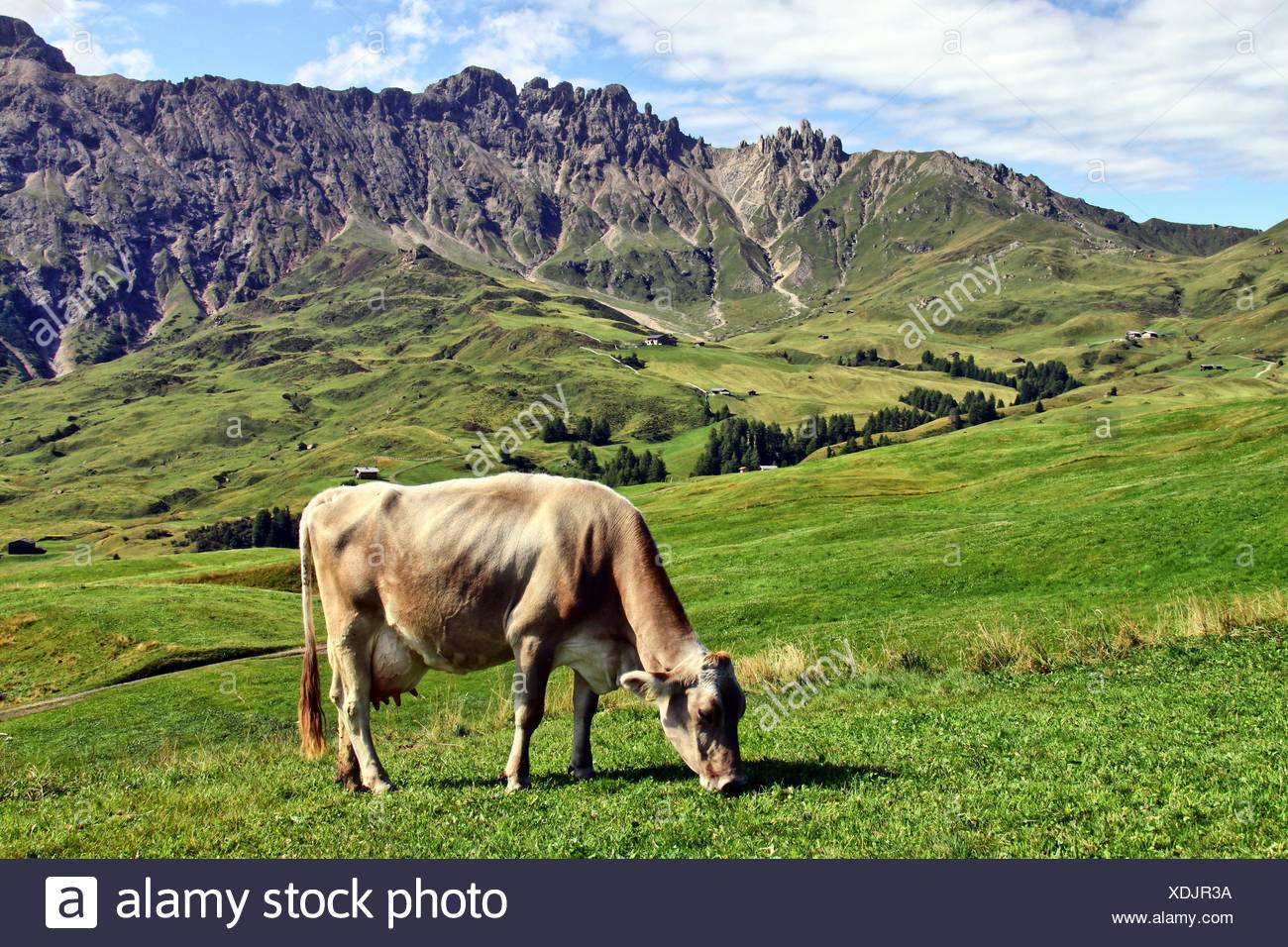 Terrarossa High Resolution Stock Photography and Images - Alamy