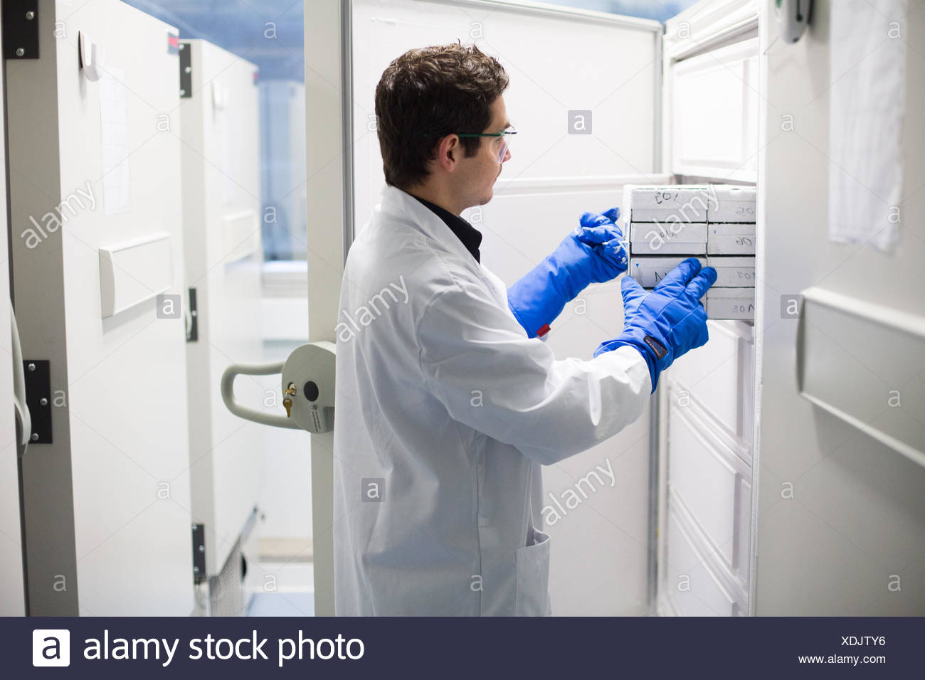 Cryopreservation High Resolution Stock Photography and Images - Alamy