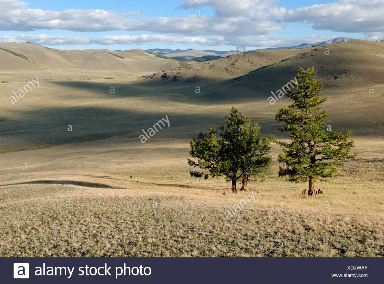 Russian Steppes High Resolution Stock Photography and Images - Alamy