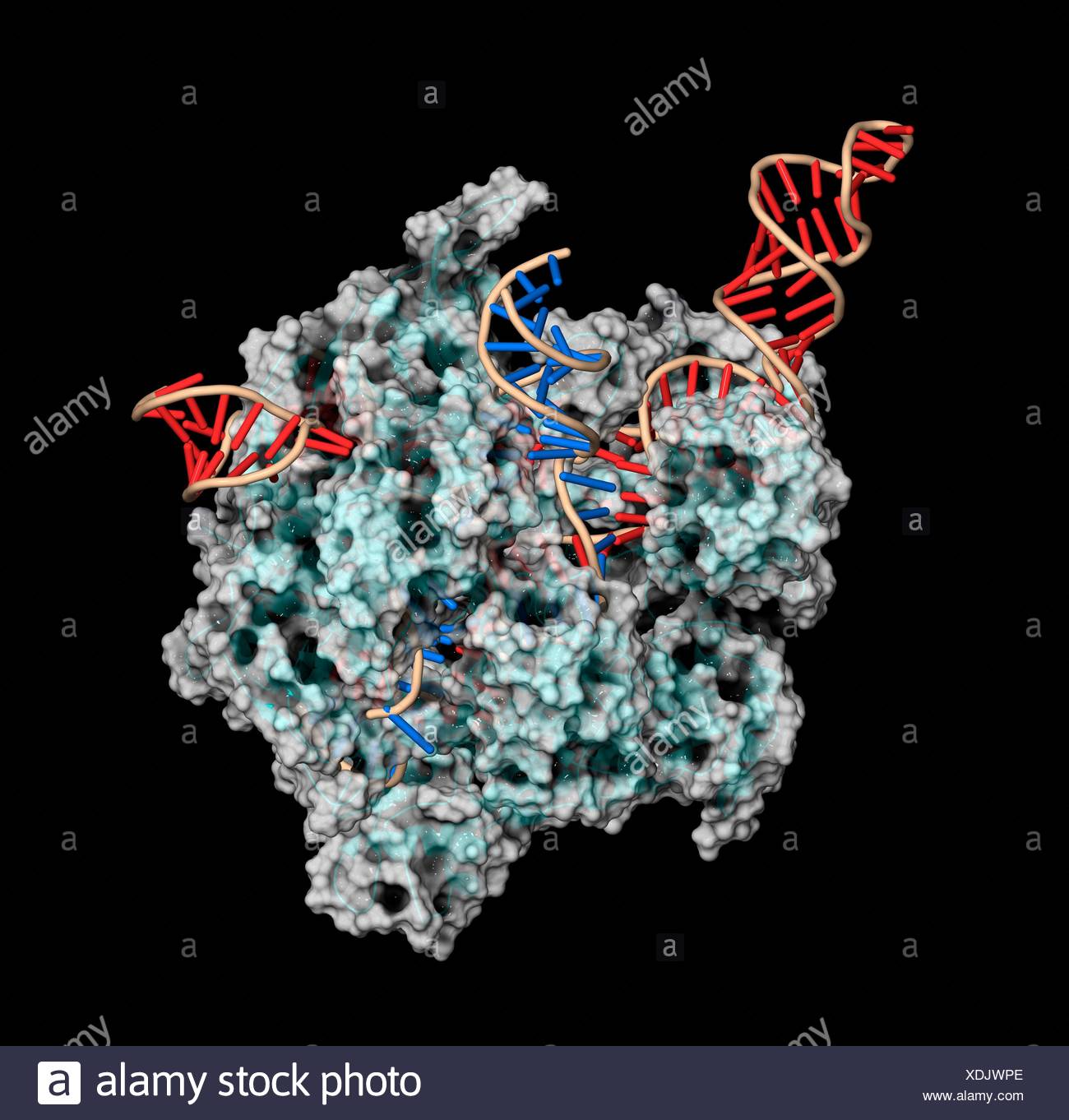 Gene Editing Complex High Resolution Stock Photography and Images - Alamy