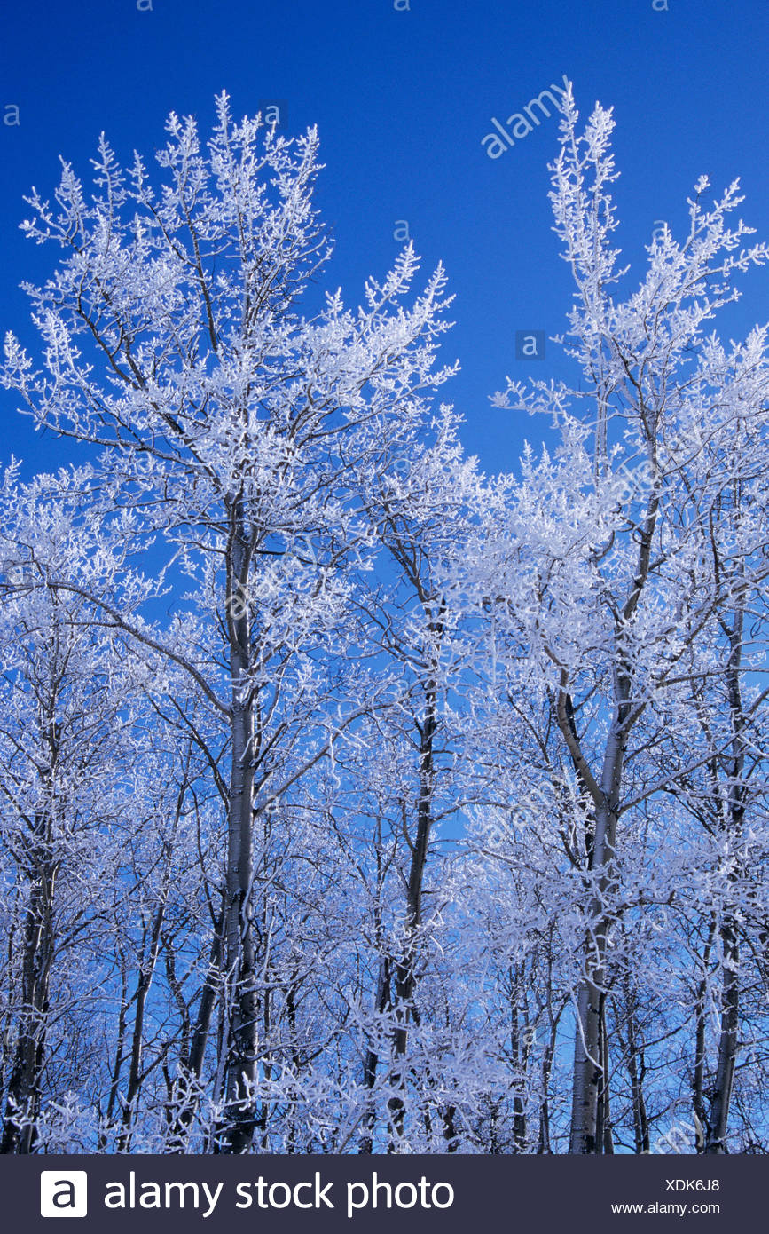 Manitoba Escarpment High Resolution Stock Photography and Images - Alamy