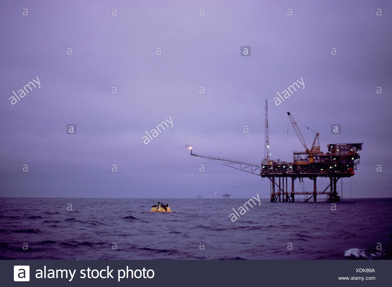 Oil Sea Not Interior Not Fish Stock Photos & Oil Sea Not Interior Not ...
