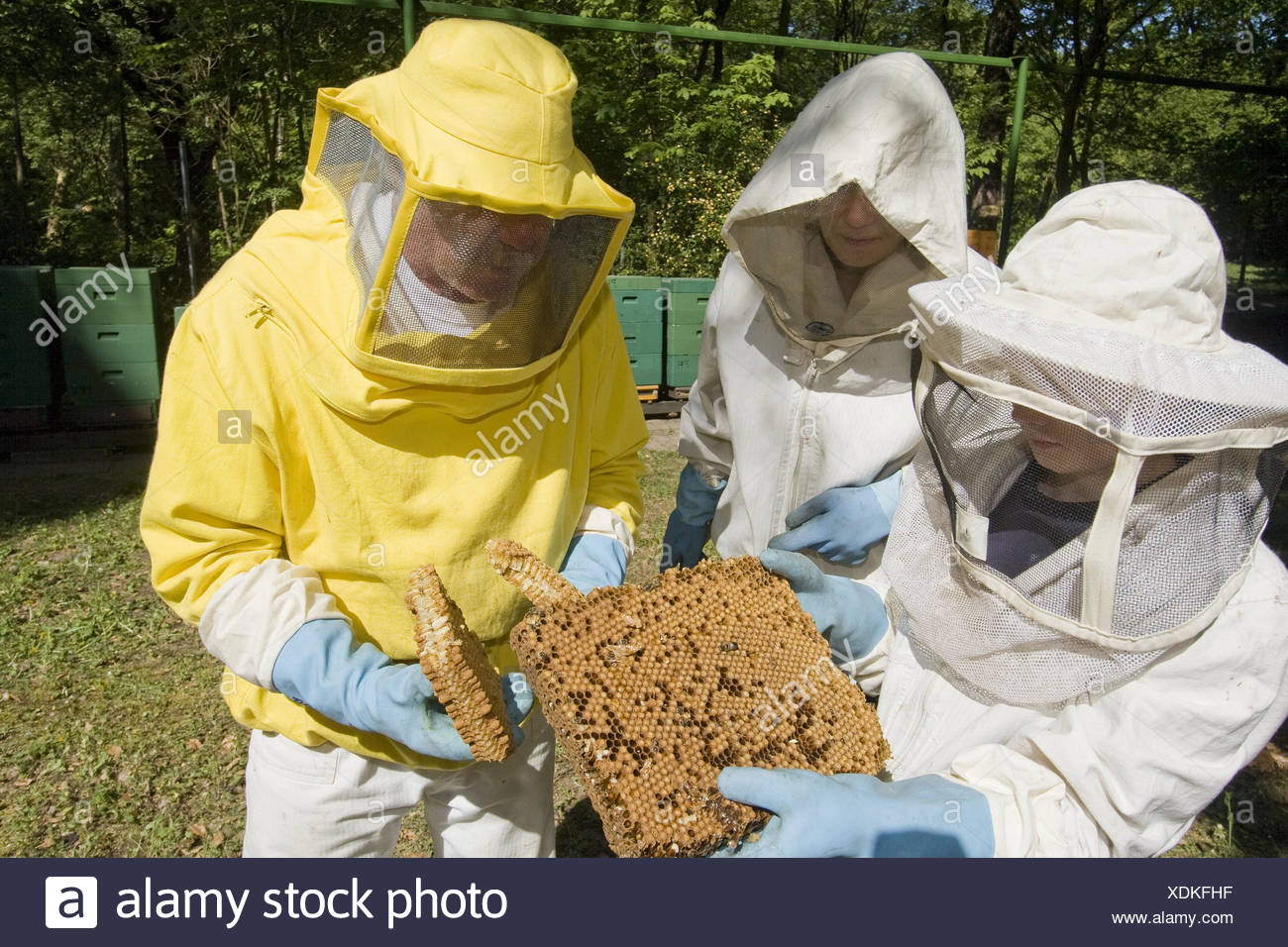 Beekeeping Suits High Resolution Stock Photography and Images - Alamy
