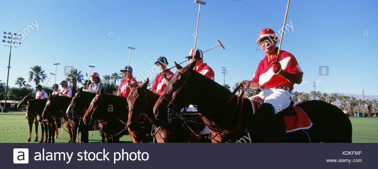 Female Polo Players High Resolution Stock Photography and Images - Alamy