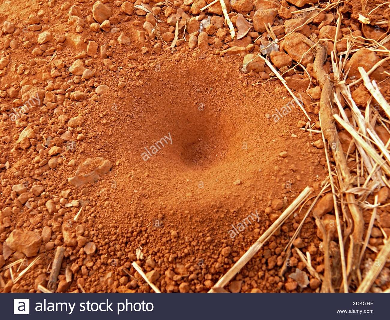 Sand Funnel High Resolution Stock Photography and Images - Alamy