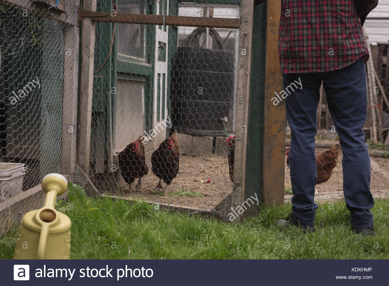Poultry Section High Resolution Stock Photography and Images - Alamy