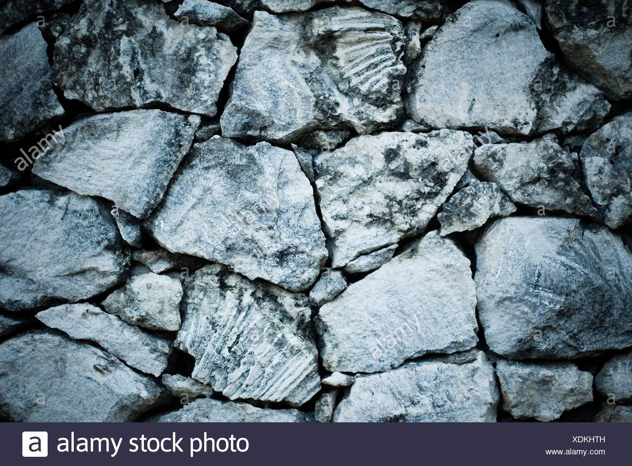 Coral Stone Wall High Resolution Stock Photography and Images - Alamy