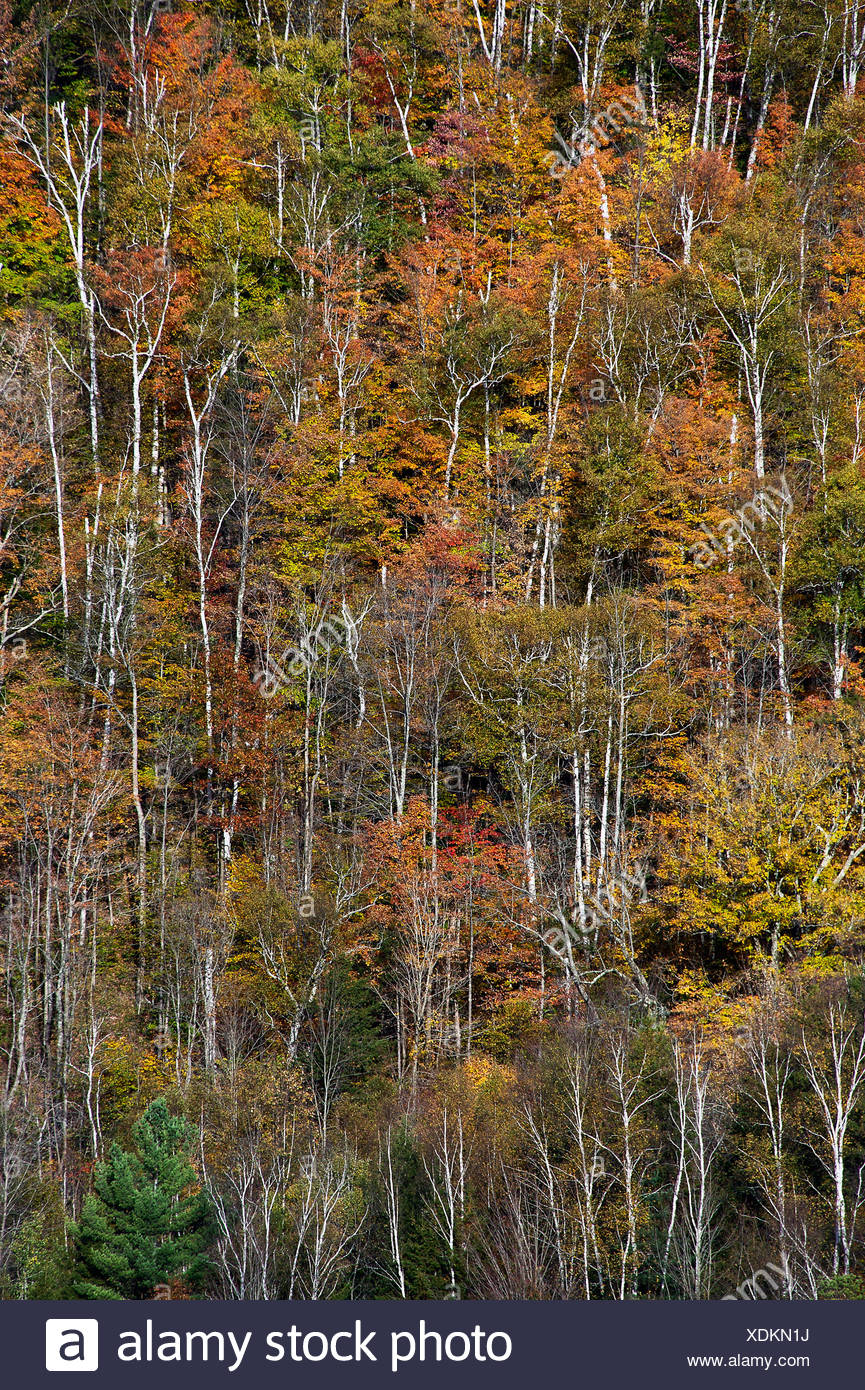 Vermont Landscapes High Resolution Stock Photography and Images - Alamy