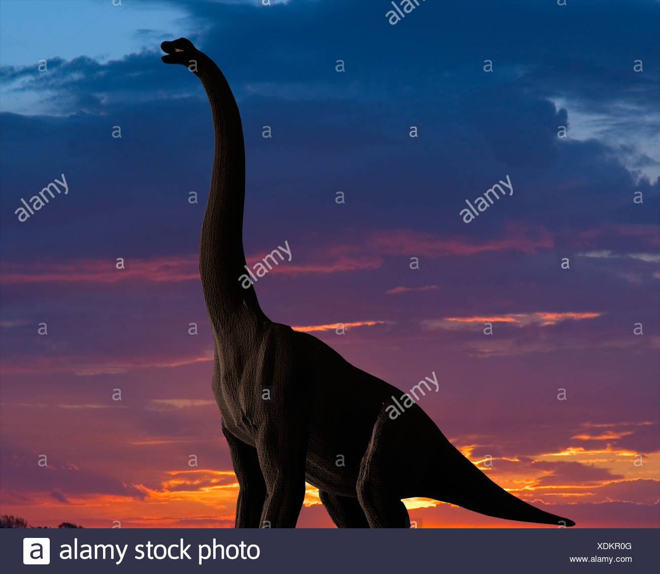 Brachiosaurus High Resolution Stock Photography and Images - Alamy