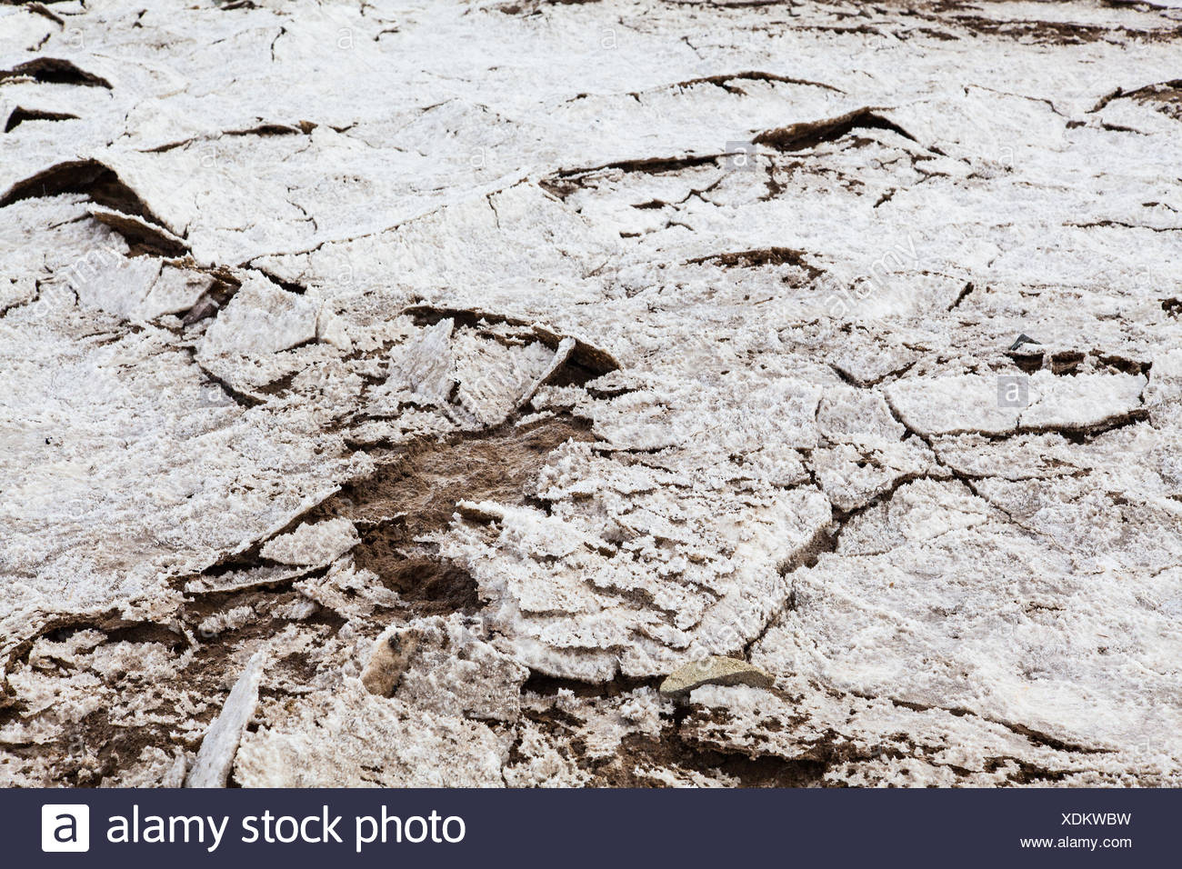 Salt Soil Damage Stock Photos & Salt Soil Damage Stock Images - Alamy