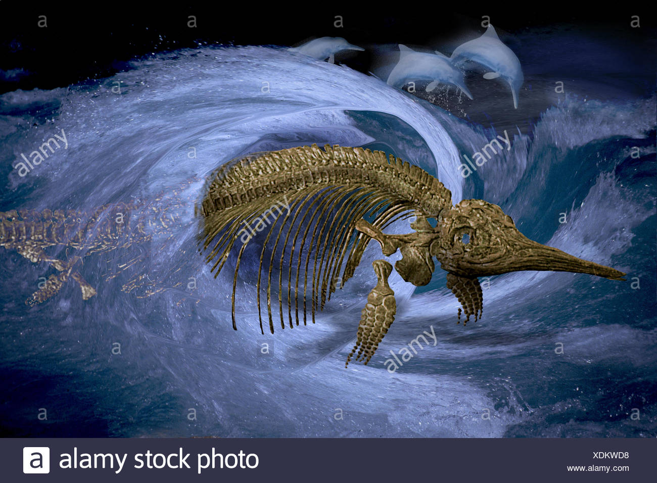 Ichthyosaurus Stock Photos & Ichthyosaurus Stock Images - Alamy