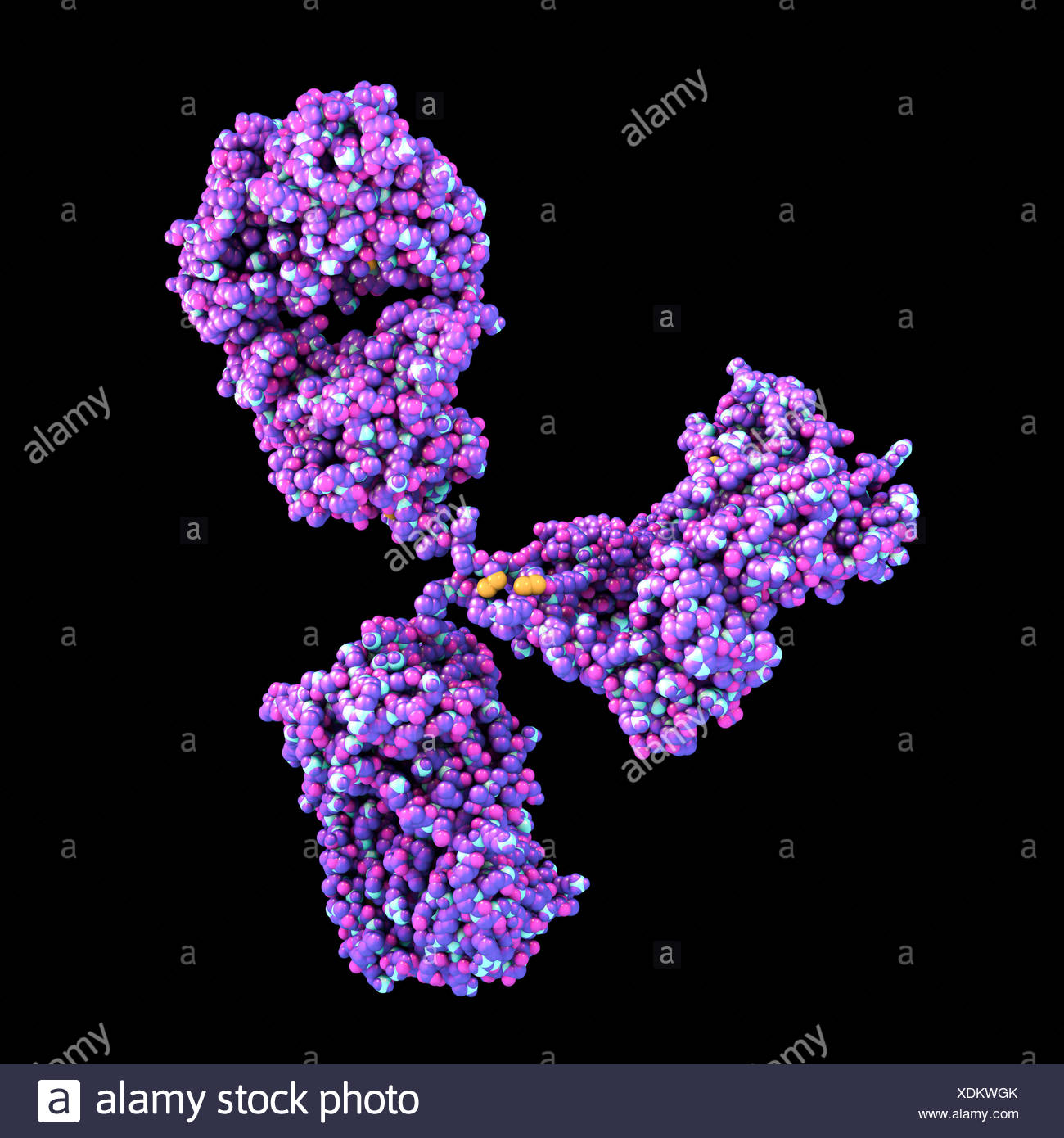 Gamma Globulin Stock Photos & Gamma Globulin Stock Images - Alamy