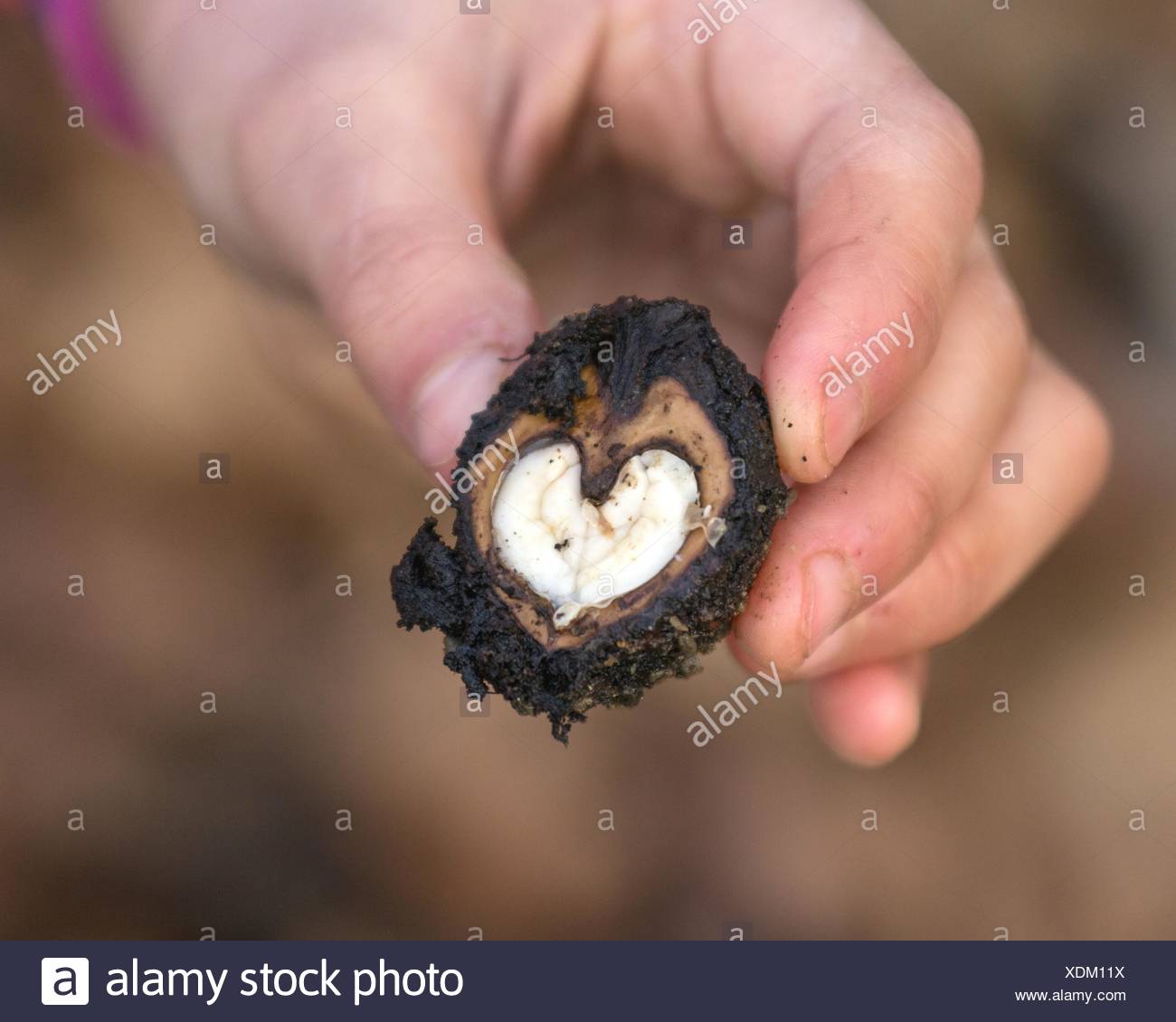 Human Body Shape High Resolution Stock Photography and Images - Alamy