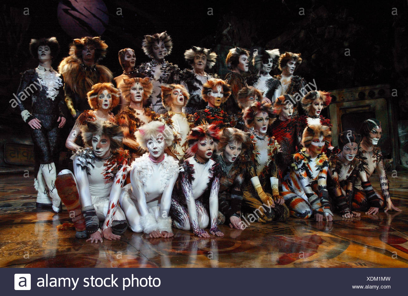 Theater Musical Cats High Resolution Stock Photography and Images - Alamy