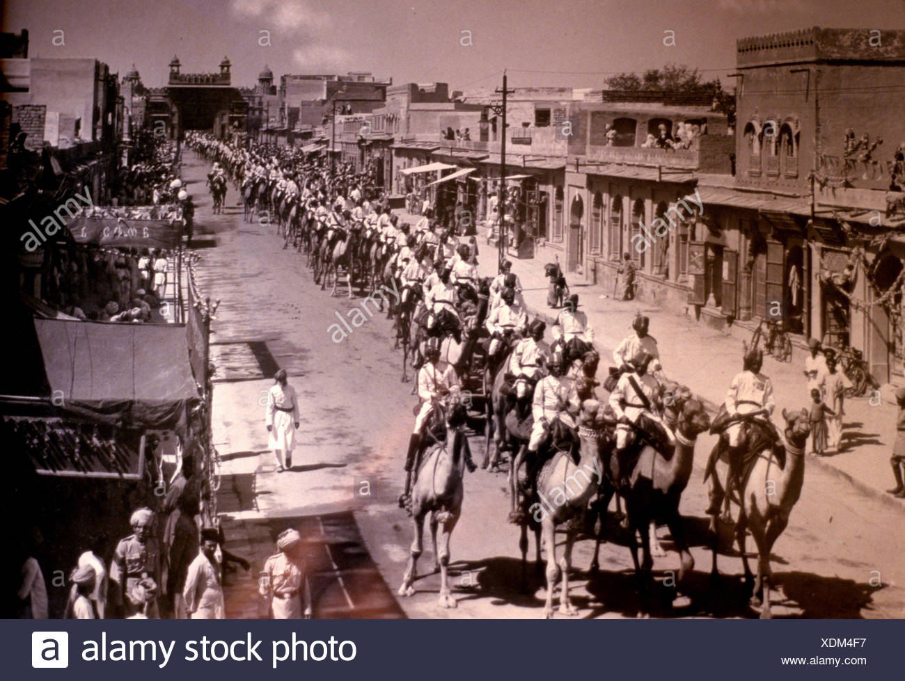 Camel Corps High Resolution Stock Photography and Images - Alamy