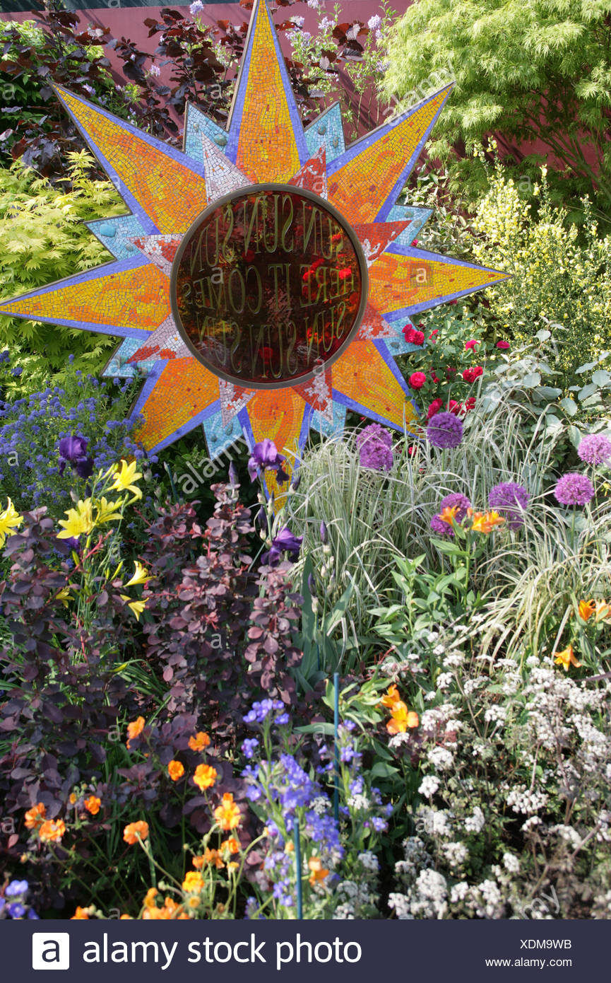 Acer Palmatum Dissectum Atropurpurea High Resolution Stock Photography ...