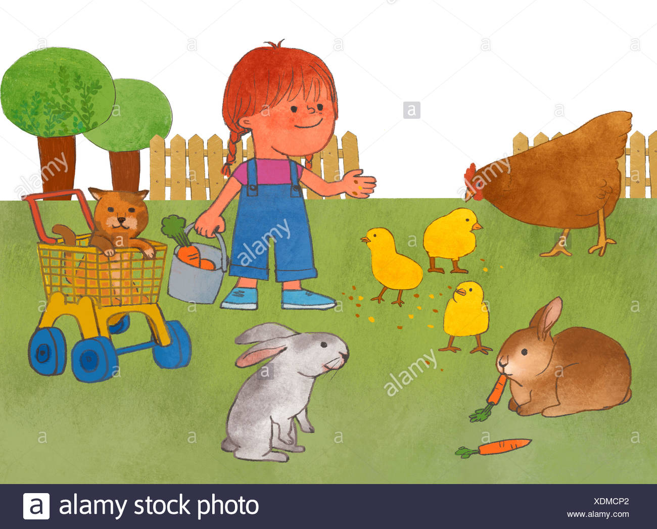 Hen Cartoon Illustration High Resolution Stock Photography and Images ...