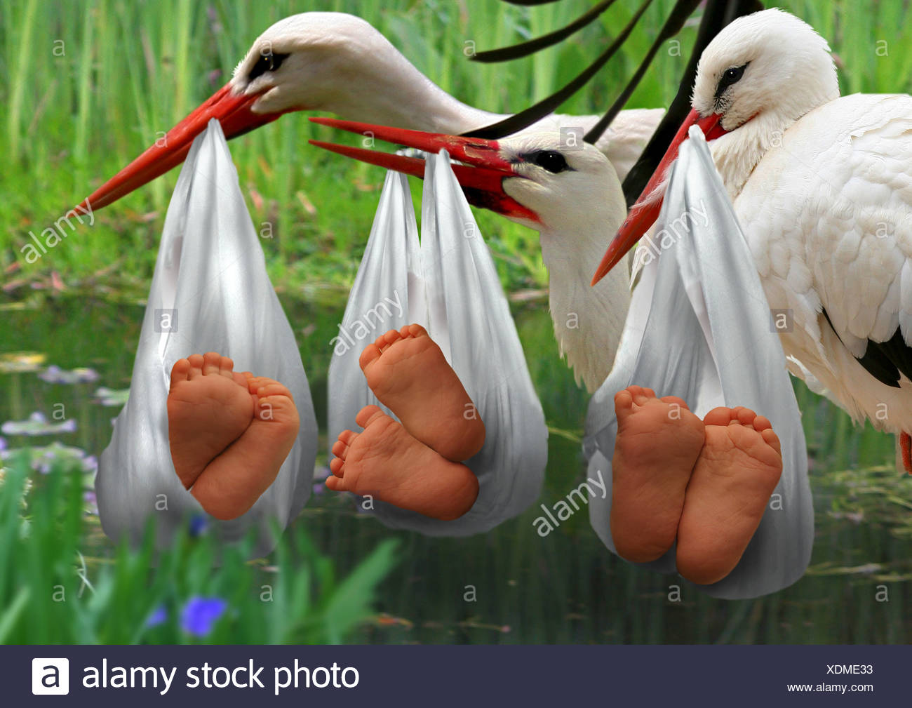 Stork Bringing Baby Stock Photos & Stork Bringing Baby Stock Images - Alamy