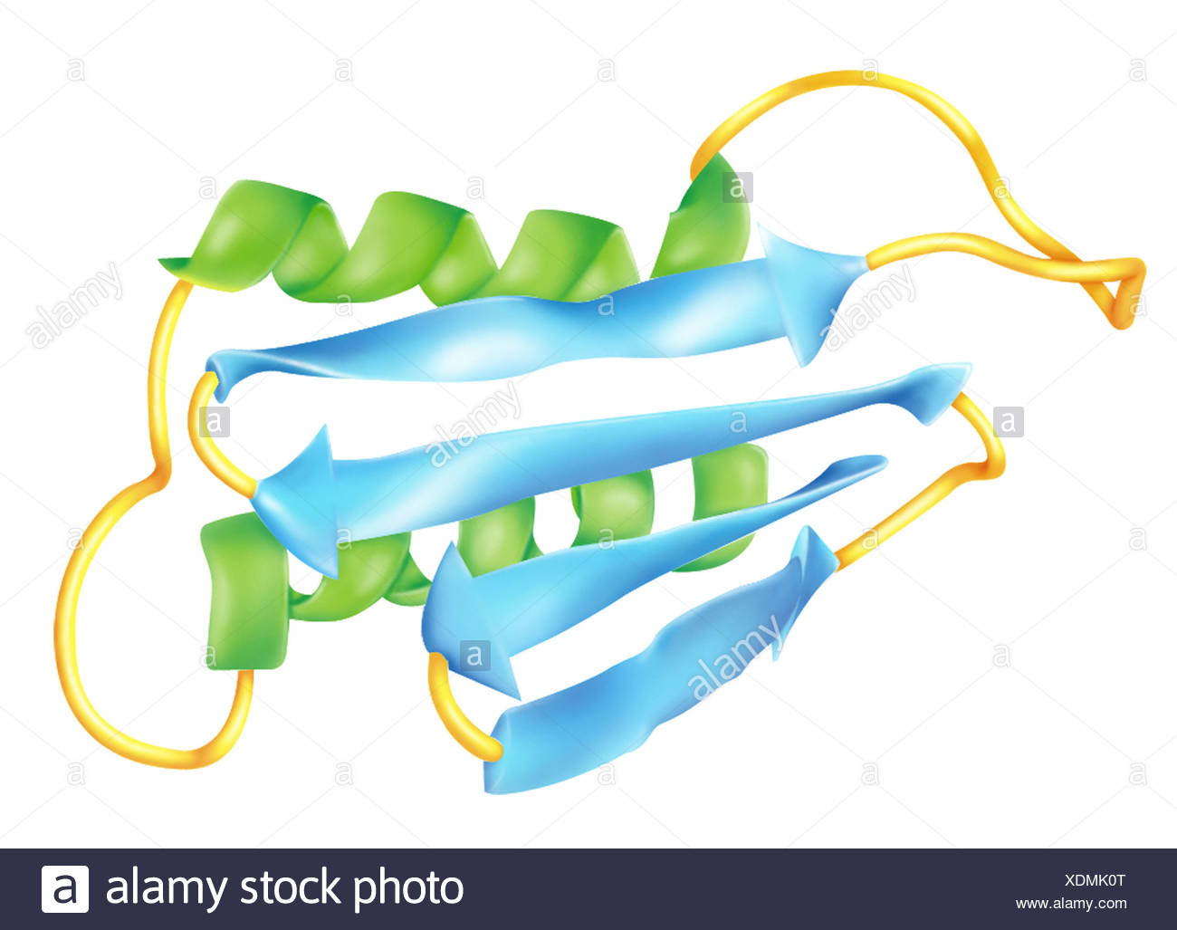 Prions High Resolution Stock Photography and Images - Alamy