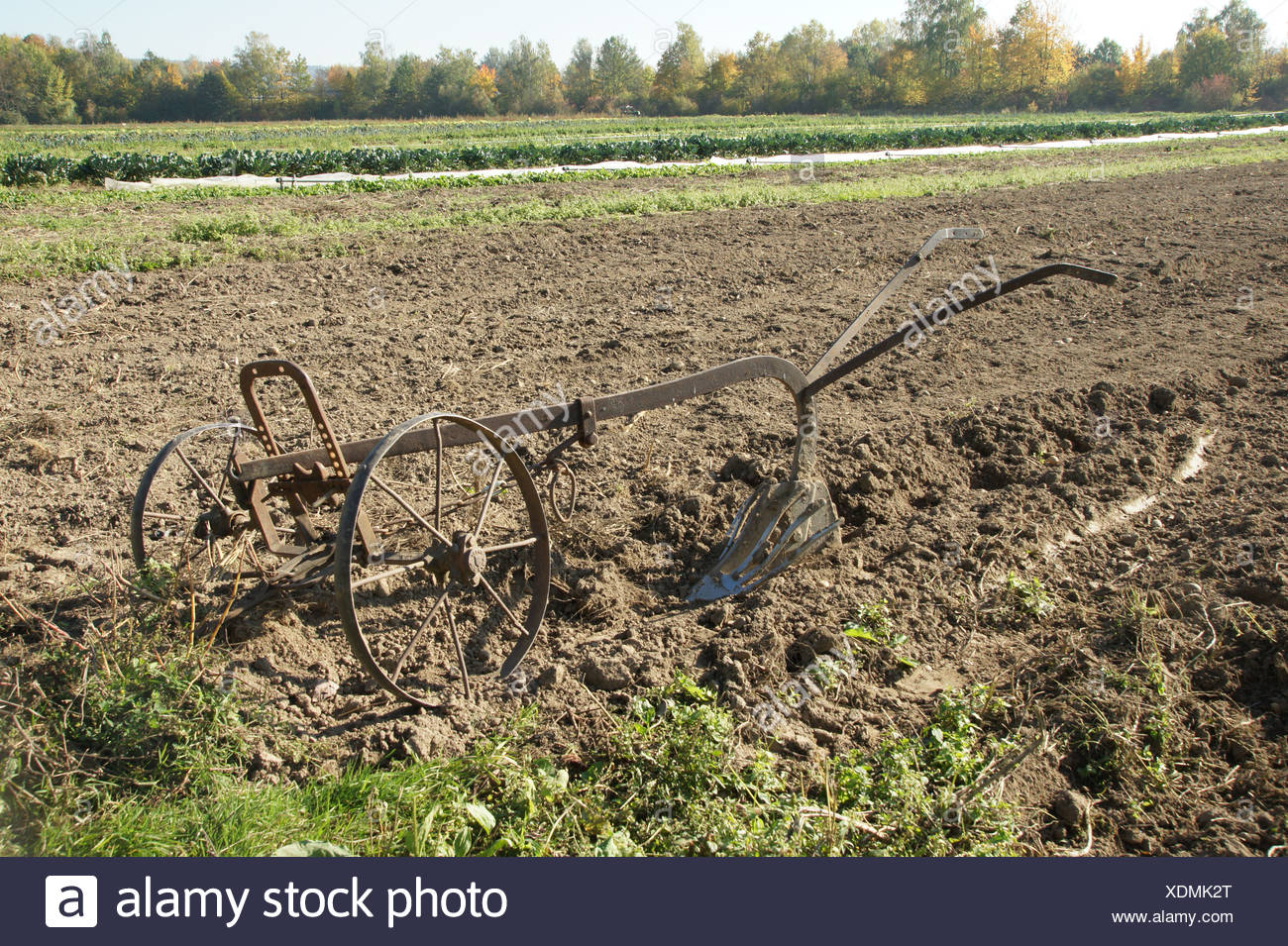 Pflugen High Resolution Stock Photography and Images - Alamy