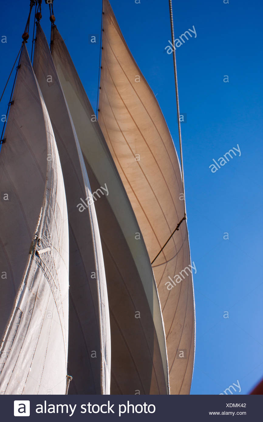 Tall Sailing Ship High Resolution Stock Photography and Images - Alamy