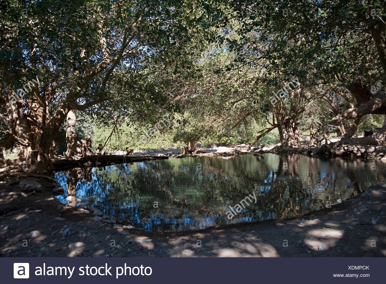 Sesfontein High Resolution Stock Photography and Images - Alamy