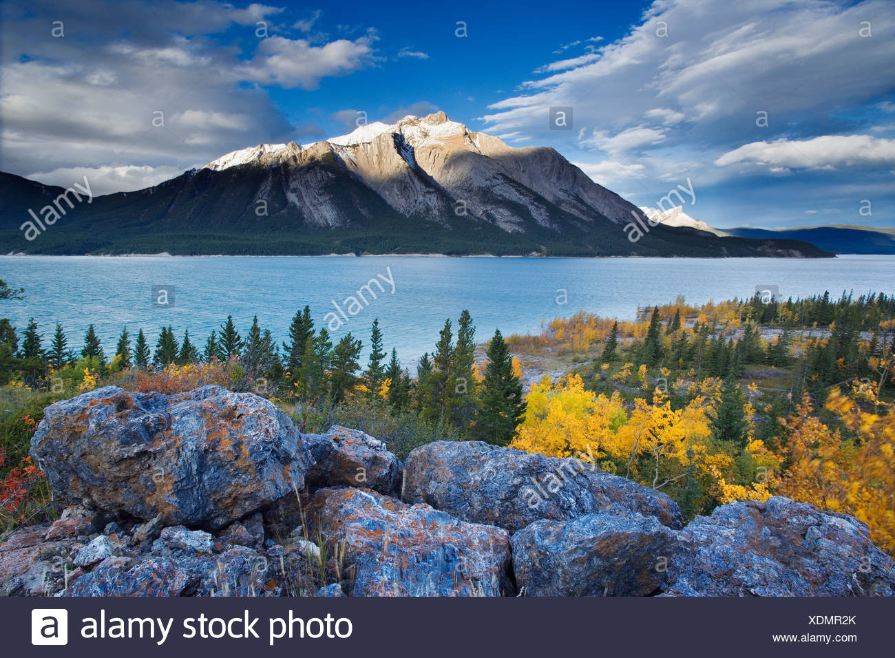 Albert And Alberta High Resolution Stock Photography and Images - Alamy