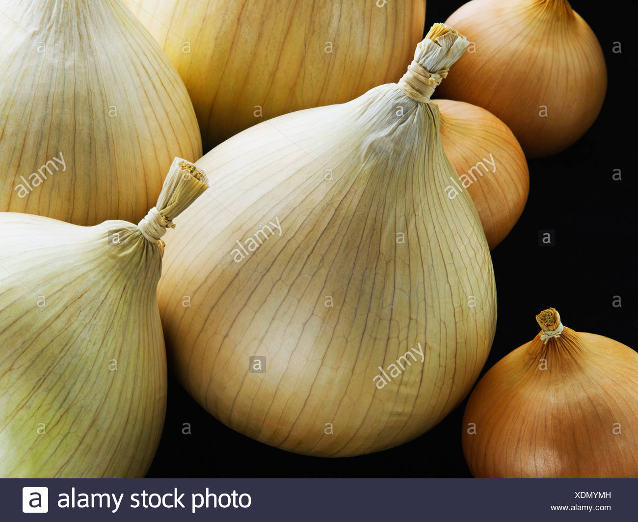 Small Medium And Large High Resolution Stock Photography and Images - Alamy
