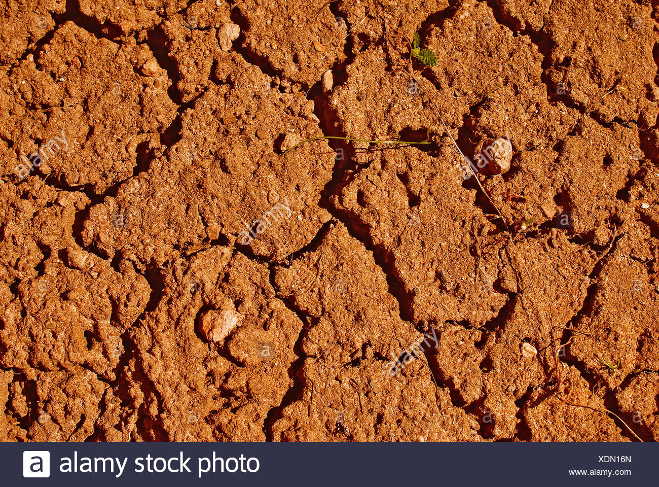 Layoutvorlage High Resolution Stock Photography and Images - Alamy