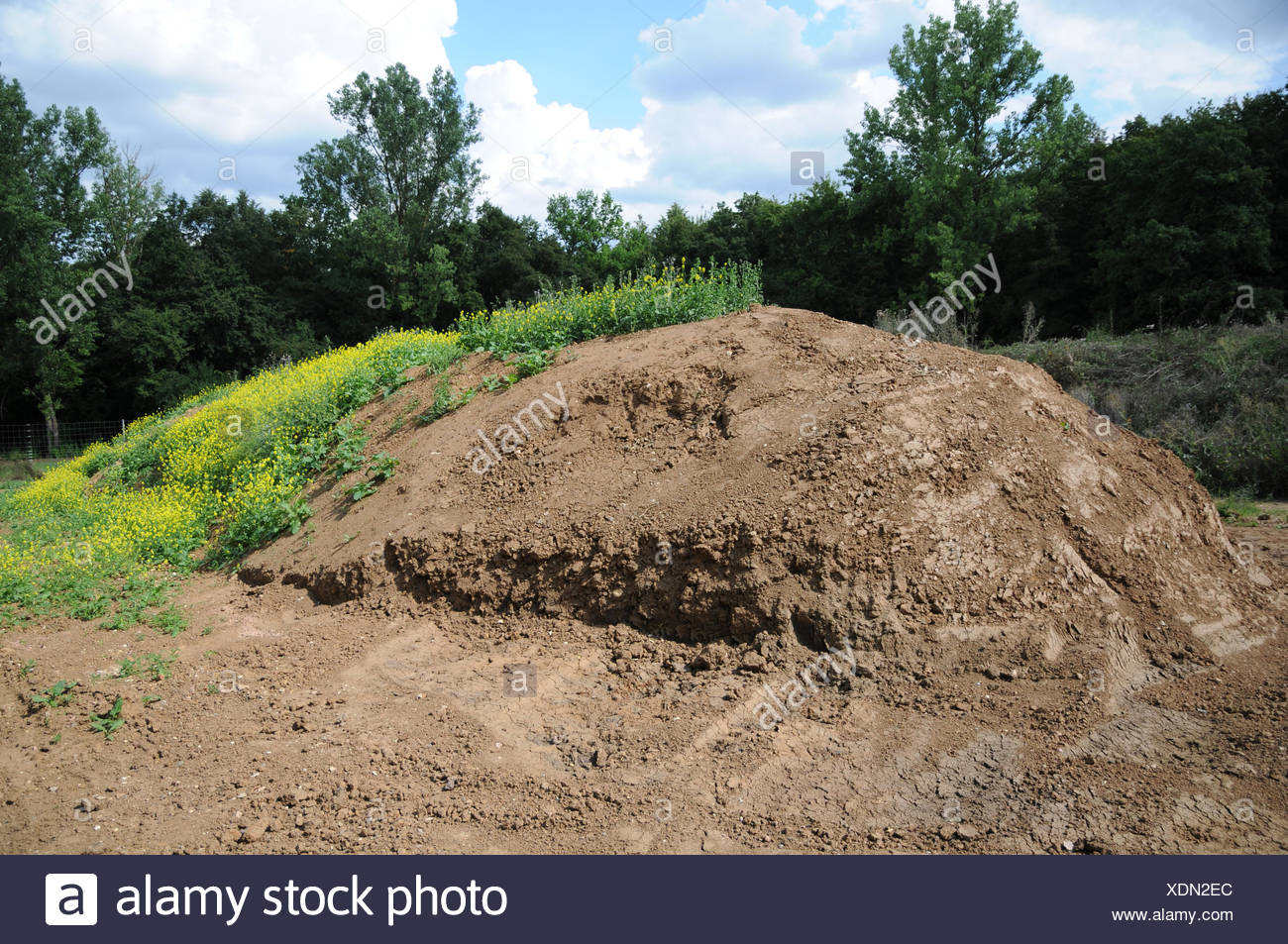Loam Soil High Resolution Stock Photography and Images - Alamy