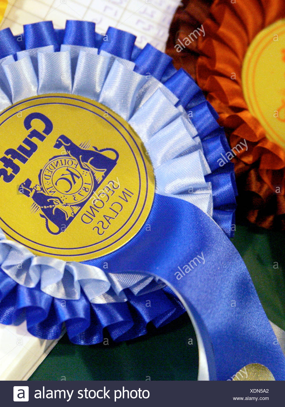 Rossette High Resolution Stock Photography and Images - Alamy