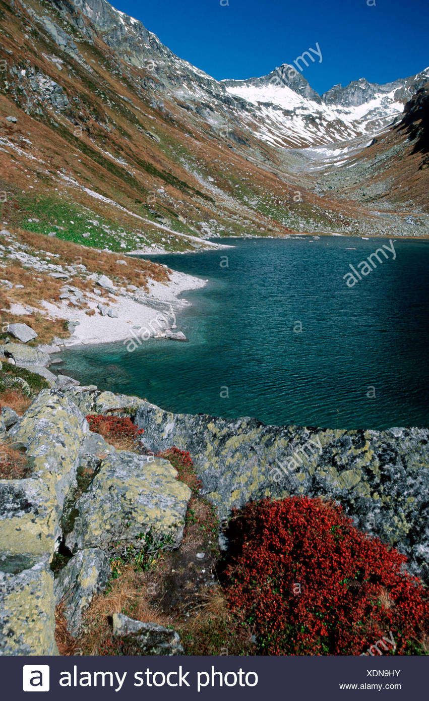 Dorfer High Resolution Stock Photography and Images - Alamy