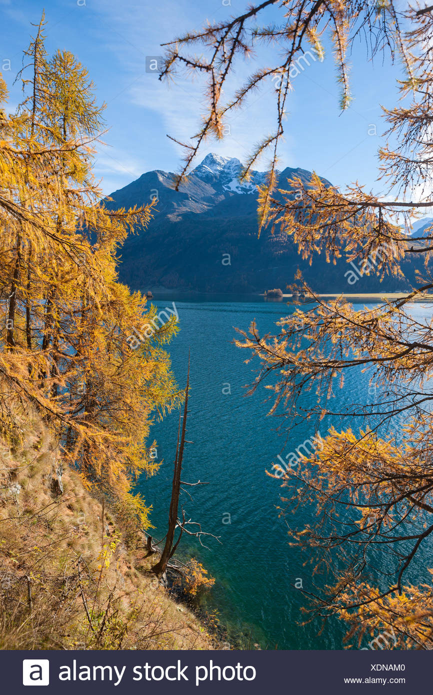Lake Sils Switzerland High Resolution Stock Photography and Images - Alamy