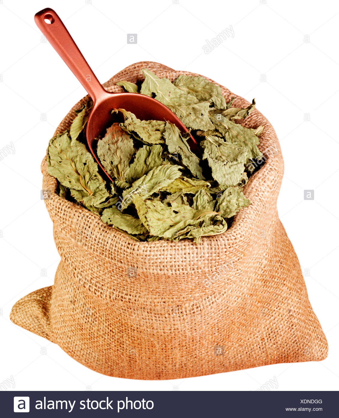 Jute Mallow High Resolution Stock Photography and Images - Alamy