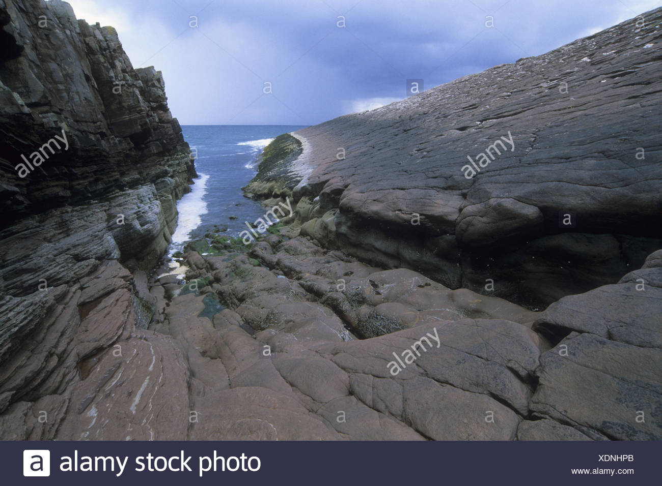 Brusquely Stock Photos & Brusquely Stock Images - Alamy