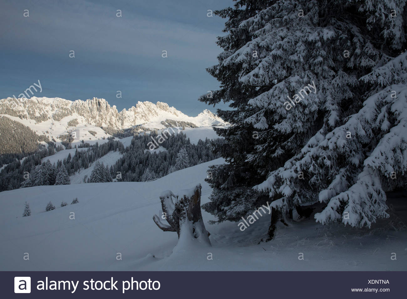 Jaunpass High Resolution Stock Photography and Images - Alamy