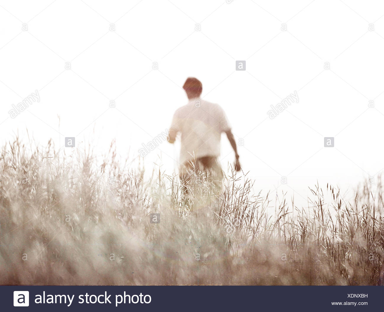 Man Walking Field High Resolution Stock Photography and Images - Alamy