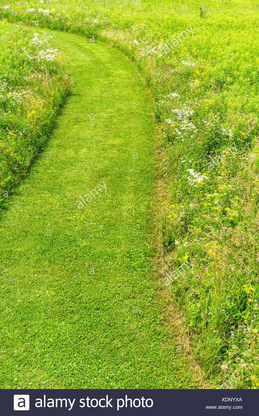 Illinois Prairie Grass High Resolution Stock Photography and Images - Alamy