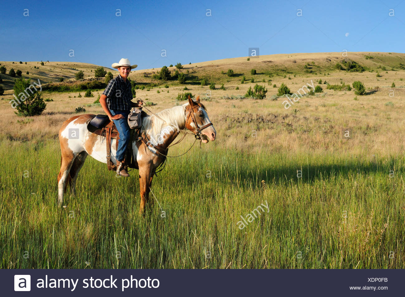 Oregon Ranch Stock Photos & Oregon Ranch Stock Images - Alamy