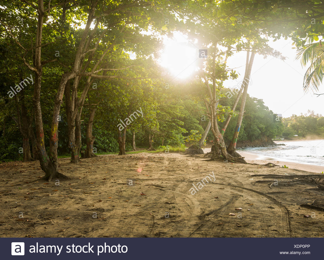Dominica High Resolution Stock Photography and Images - Alamy