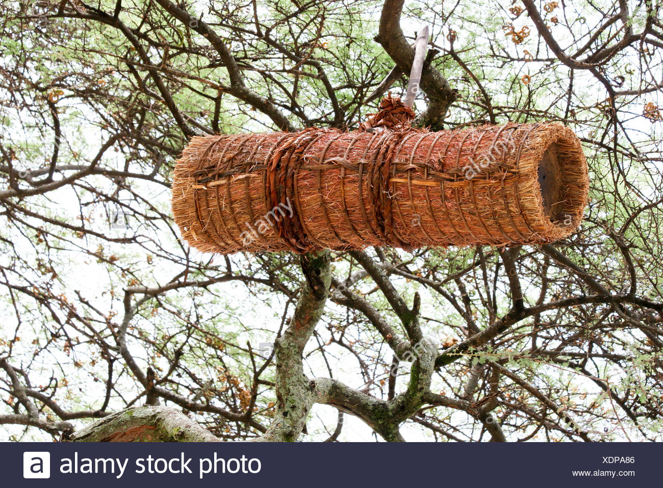African Beehives High Resolution Stock Photography and Images - Alamy