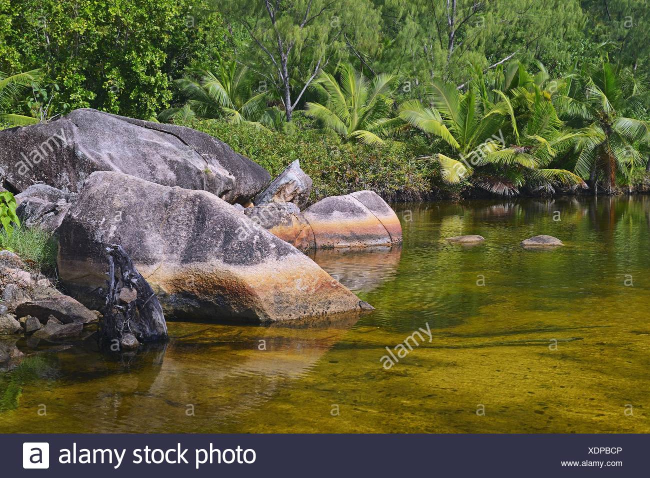 Brackish Water Stock Photos & Brackish Water Stock Images - Alamy
