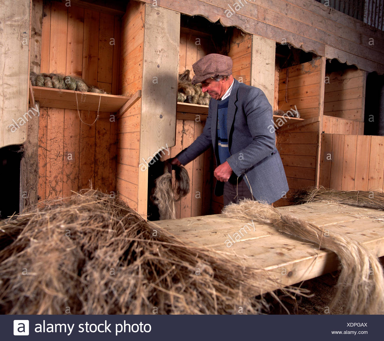Scutching Stock Photos & Scutching Stock Images - Alamy