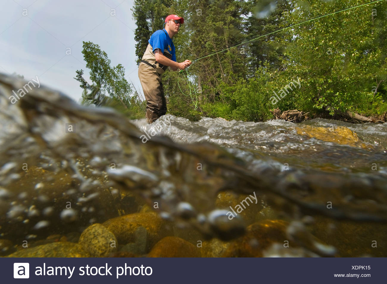 Underwater Fishing High Resolution Stock Photography and Images - Alamy