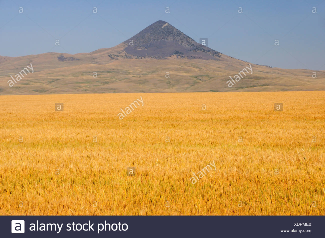 Sweetgrass Hills Stock Photos & Sweetgrass Hills Stock Images - Alamy