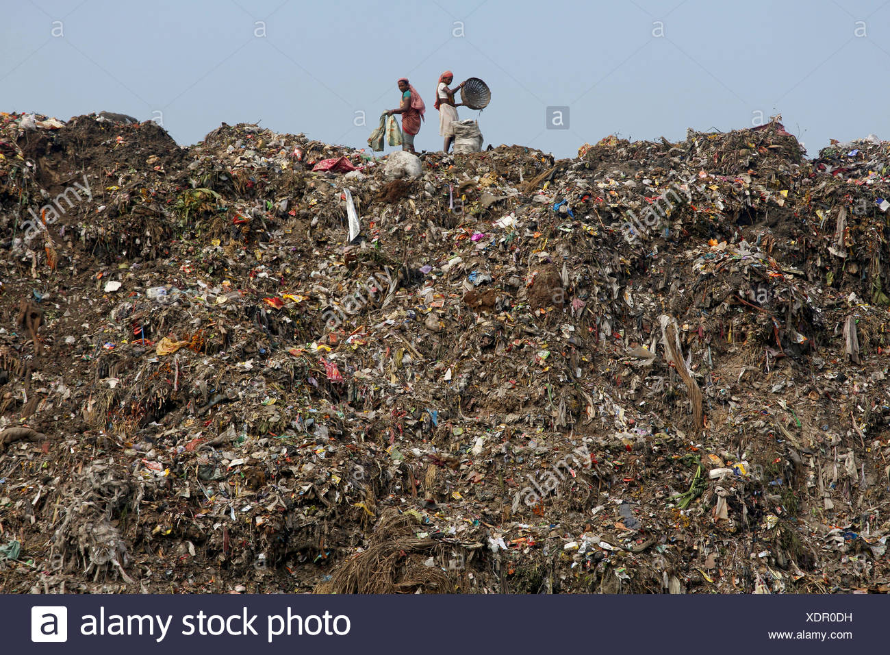 Dhapa High Resolution Stock Photography and Images - Alamy