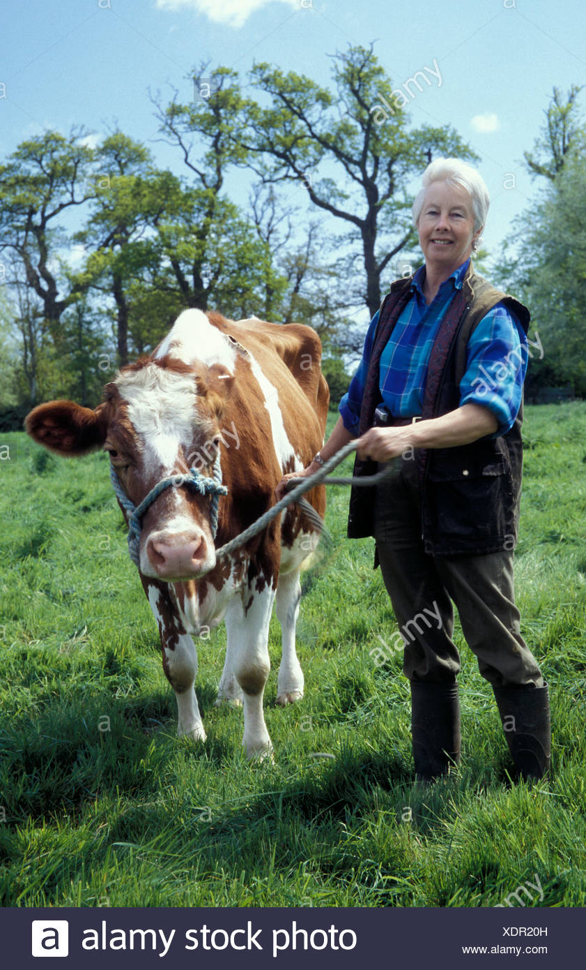 Lady Cow Stock Photos & Lady Cow Stock Images - Alamy