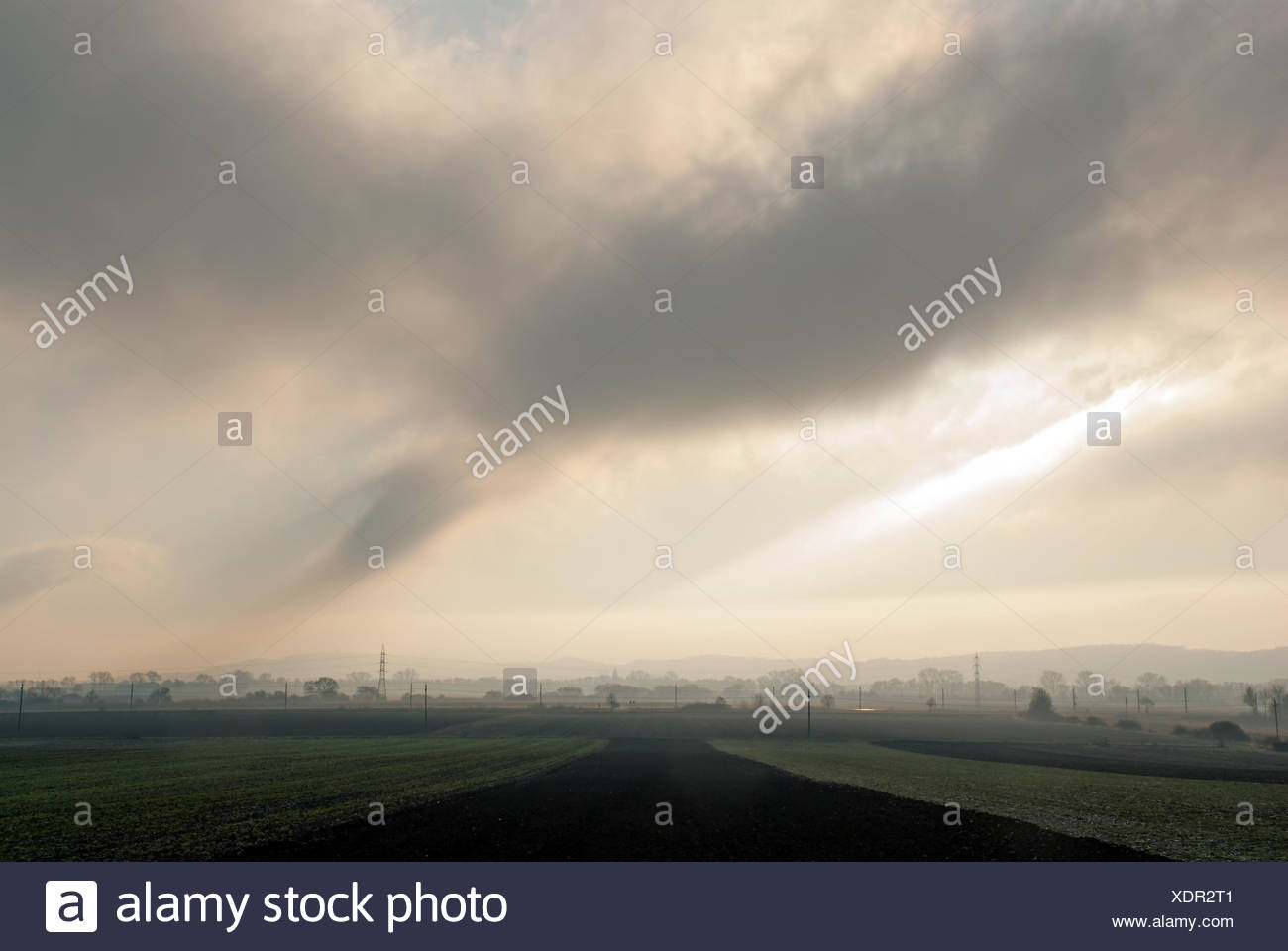 Sfumato High Resolution Stock Photography and Images - Alamy
