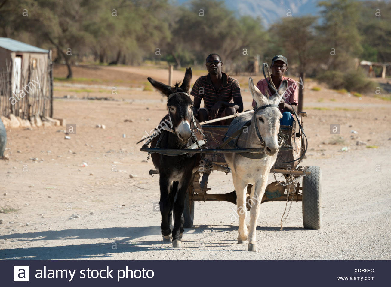 Sesfontein High Resolution Stock Photography and Images - Alamy