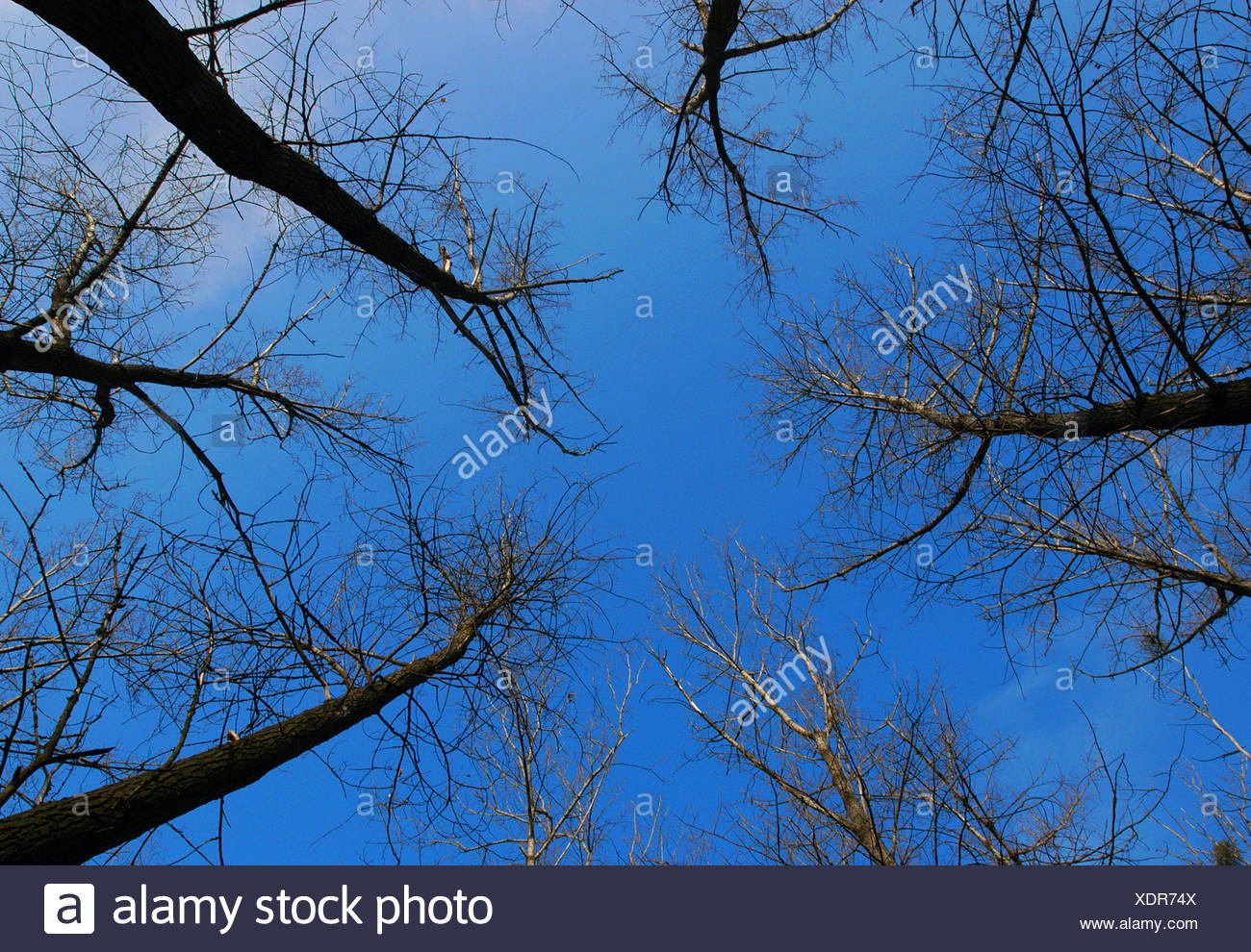 Worms Eye View Stock Photos & Worms Eye View Stock Images - Alamy